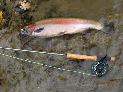 Great Lakes Angler: Great Lakes Grand Slam in the Milwaukee River ...