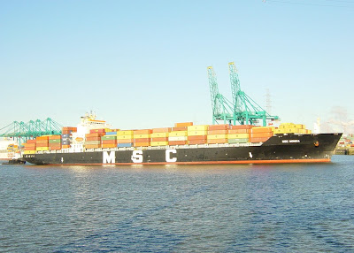 MSC Ships: MSC M...