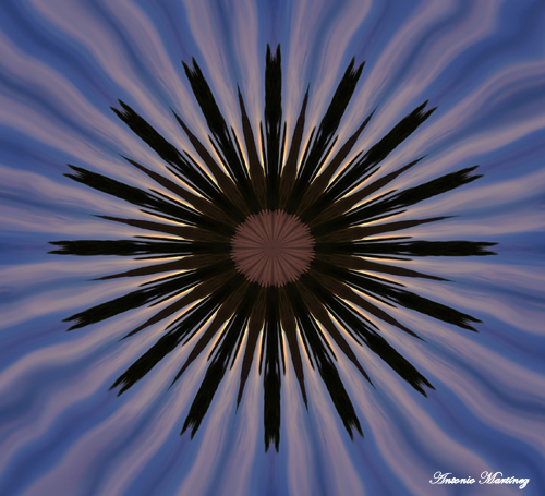 Una ventana a la naturaleza: Simetría circular