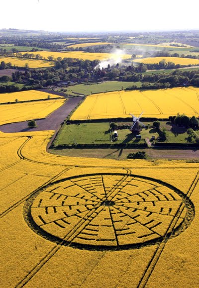 Crop Circle Season 2010 : May Formations - Psychedelic Adventure