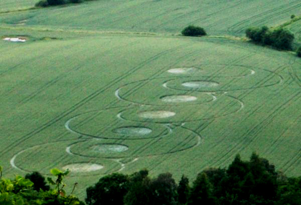 Crop Circle Season 2010 : July Formations - Psychedelic Adventure