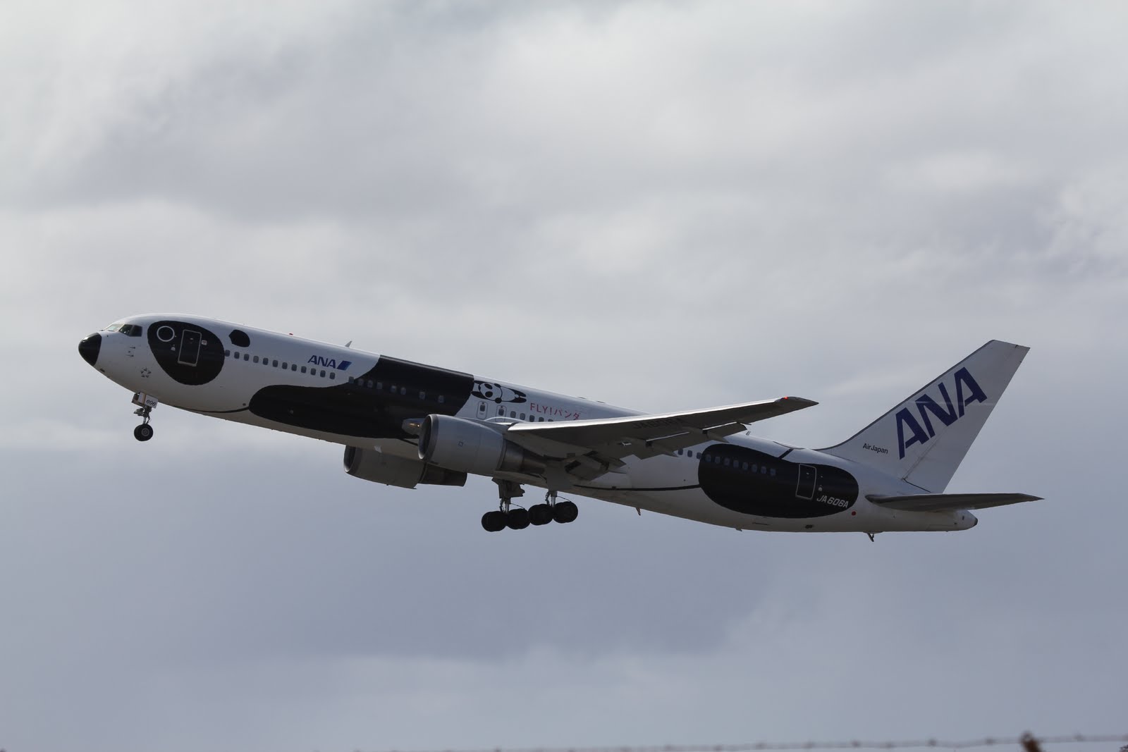 HNL RareBirds™: ANA Panda JA606A