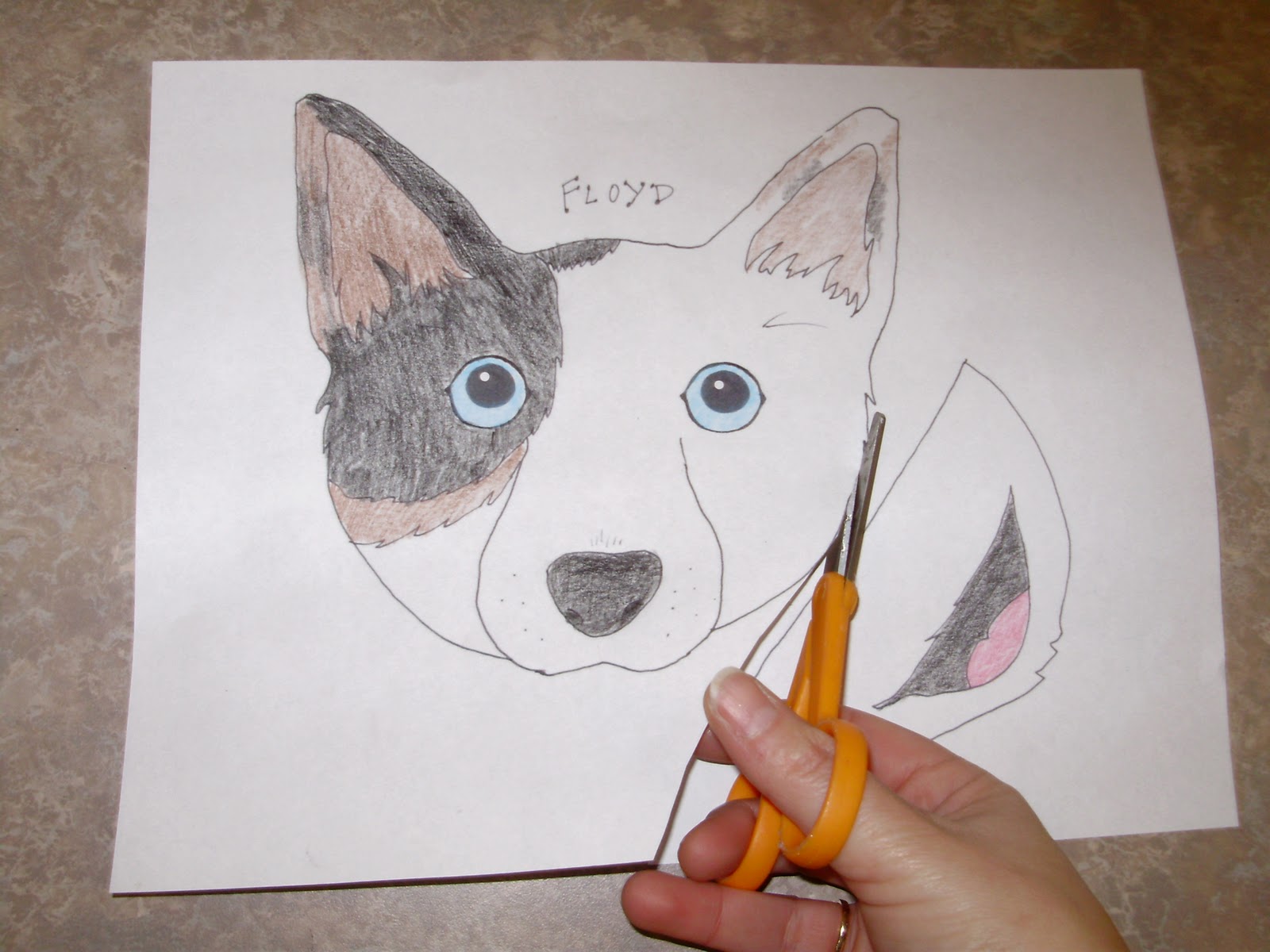 Kristine Daniels Studio: Puppet Time!