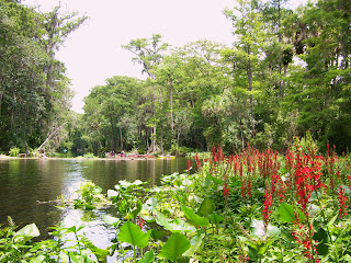 Silver River - Adventure Outpost