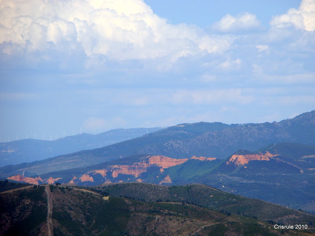 Cogomelos e Flora de Valdeorras: O Barco de Valdeorras