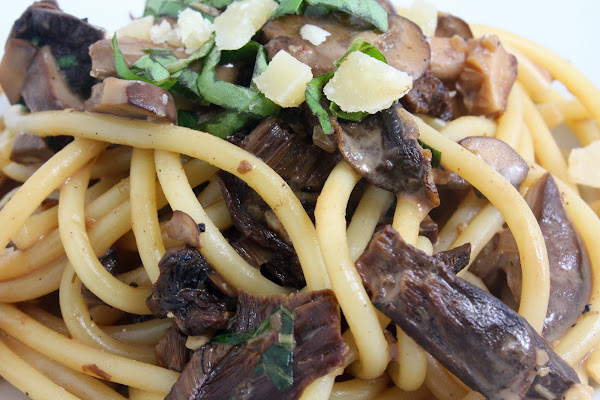 Elizabeth's Edible Experience: Particular Pasta Persuit