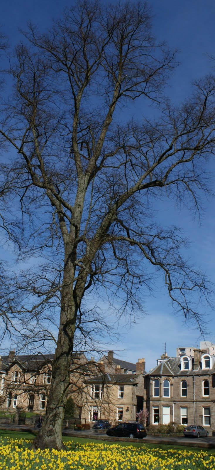 Tour Scotland: April 12th Photograph Perth Scotland