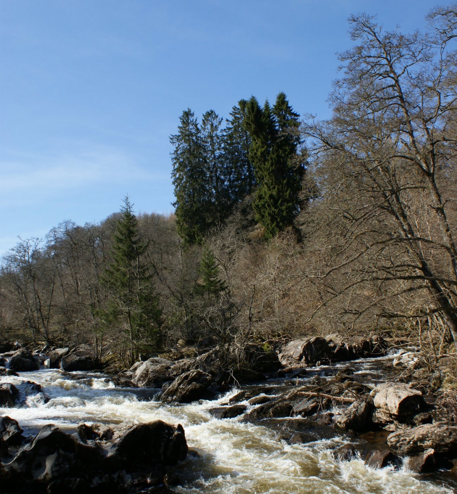 Tour Scotland: April 12th Photograph River Braan Scotland