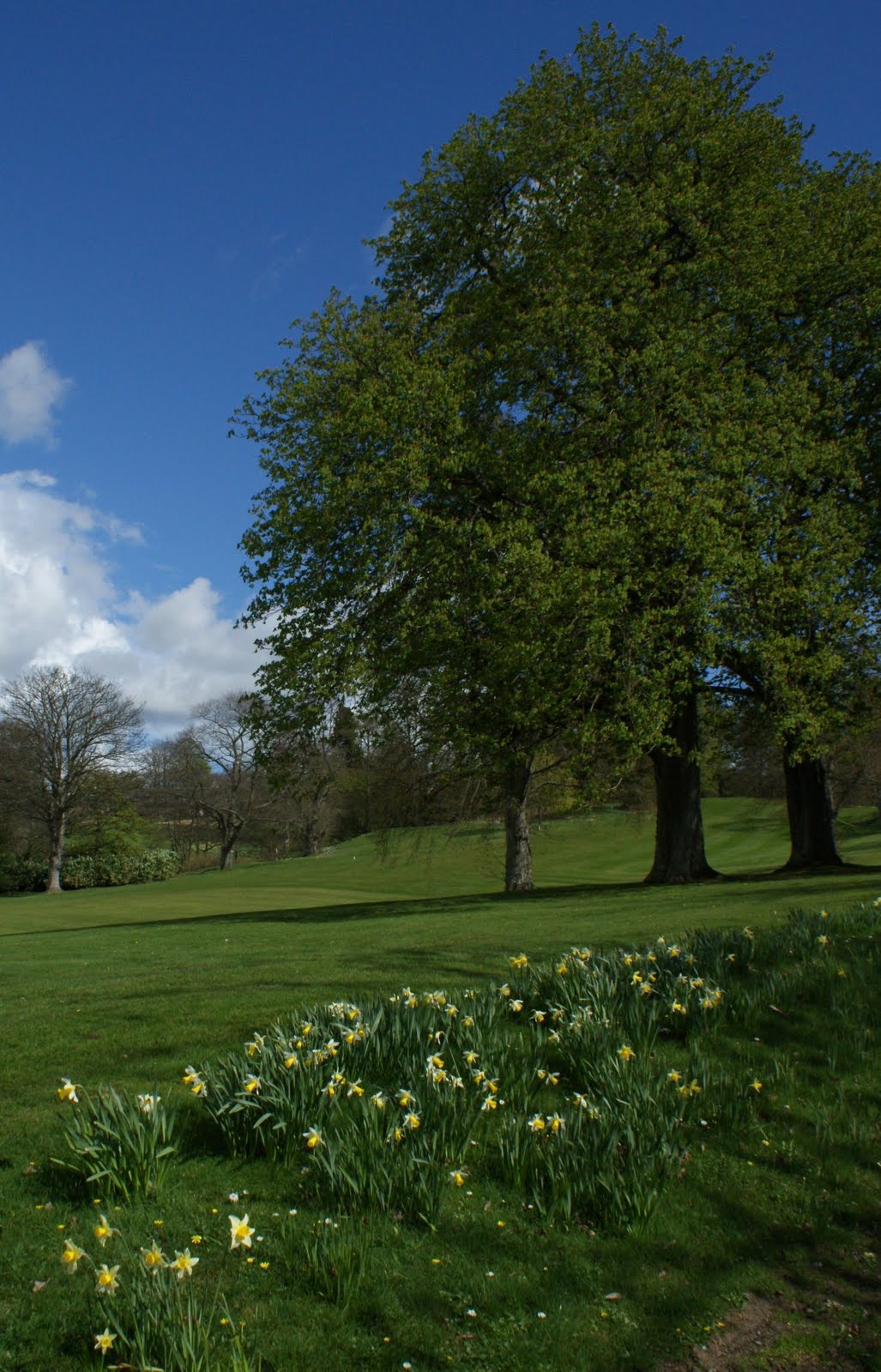 Tour Scotland: April 30th Photograph Afternoon Scone Scotland