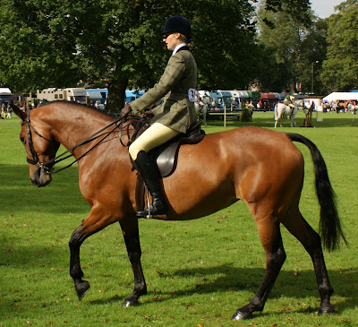 Tour Scotland: Photograph Show Hunter Horse Scotland