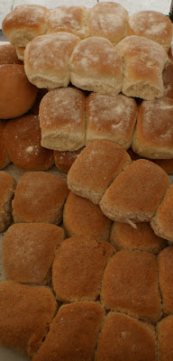 Tour Scotland: Tour Scotland Photograph Scottish Baps