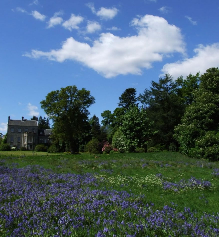 Tour Scotland: June Photograph Bluebells Braco Castle Garden Scotland