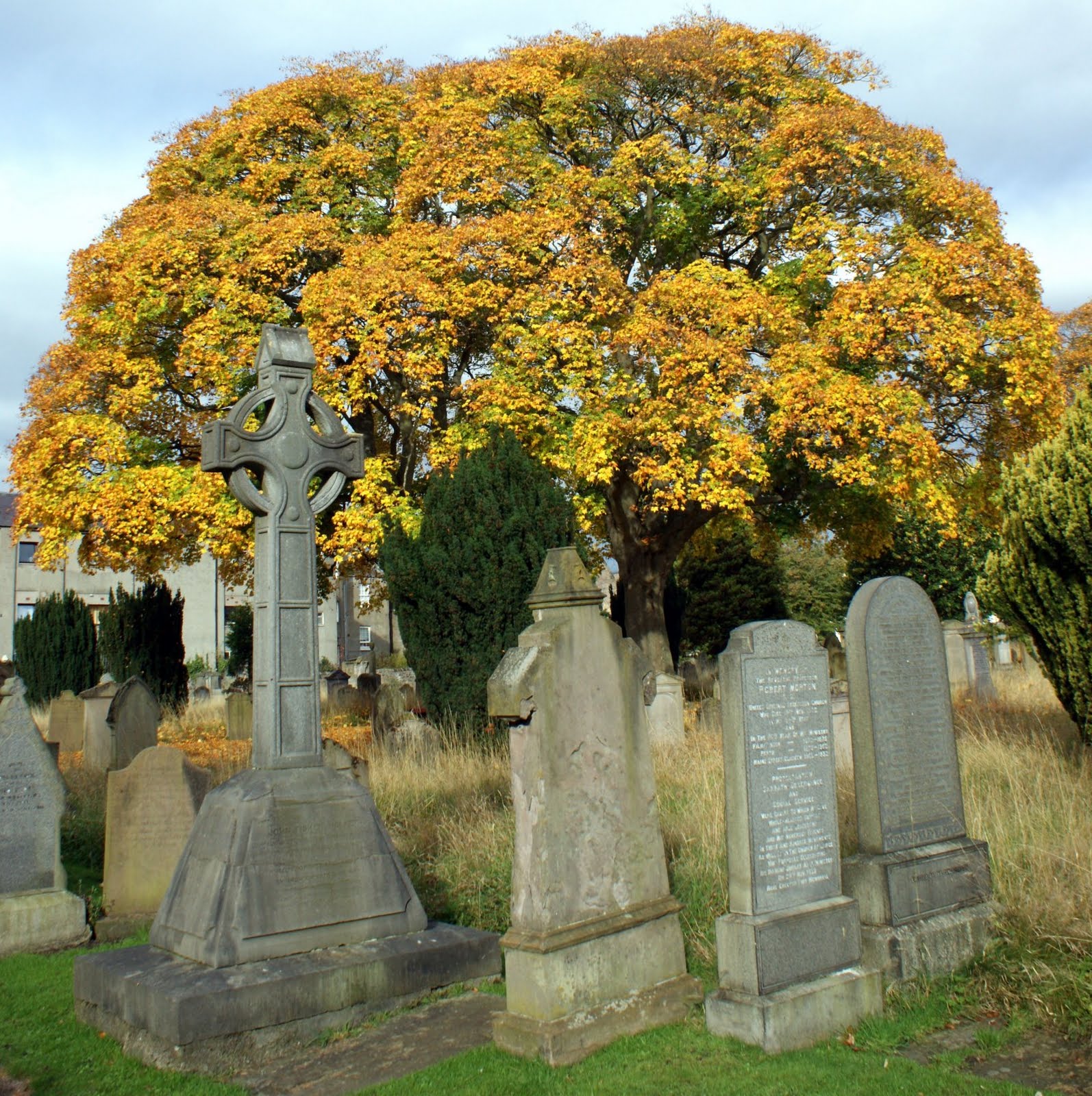 Tour Scotland: October 14th Photograph Autumn Trees Perth Scotland