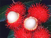 a hui hou...: Hiking, Waterfalls, and Fresh Fruit