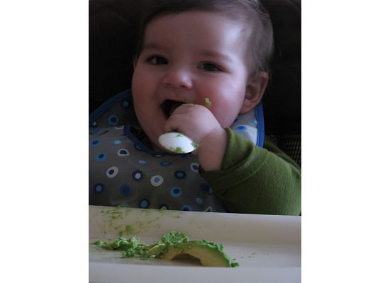 Avocado: Mom's Best Friend