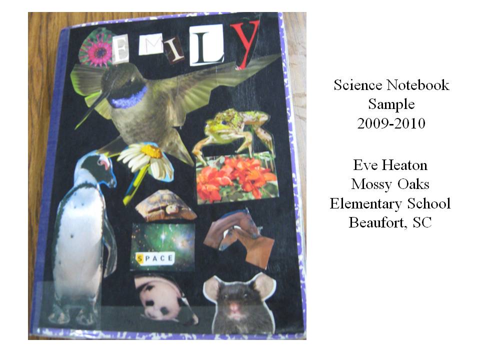 Complete Sample Notebook (w/notes)