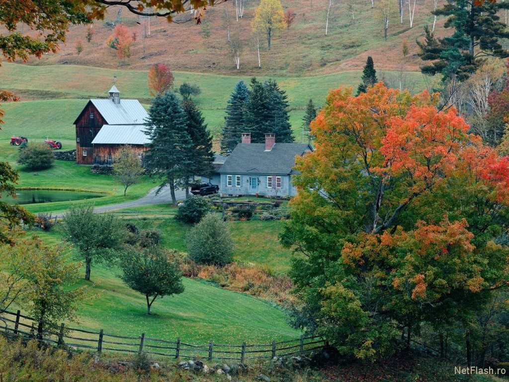 blogul lui vladut: Compunere "Sfarsit de toamna"