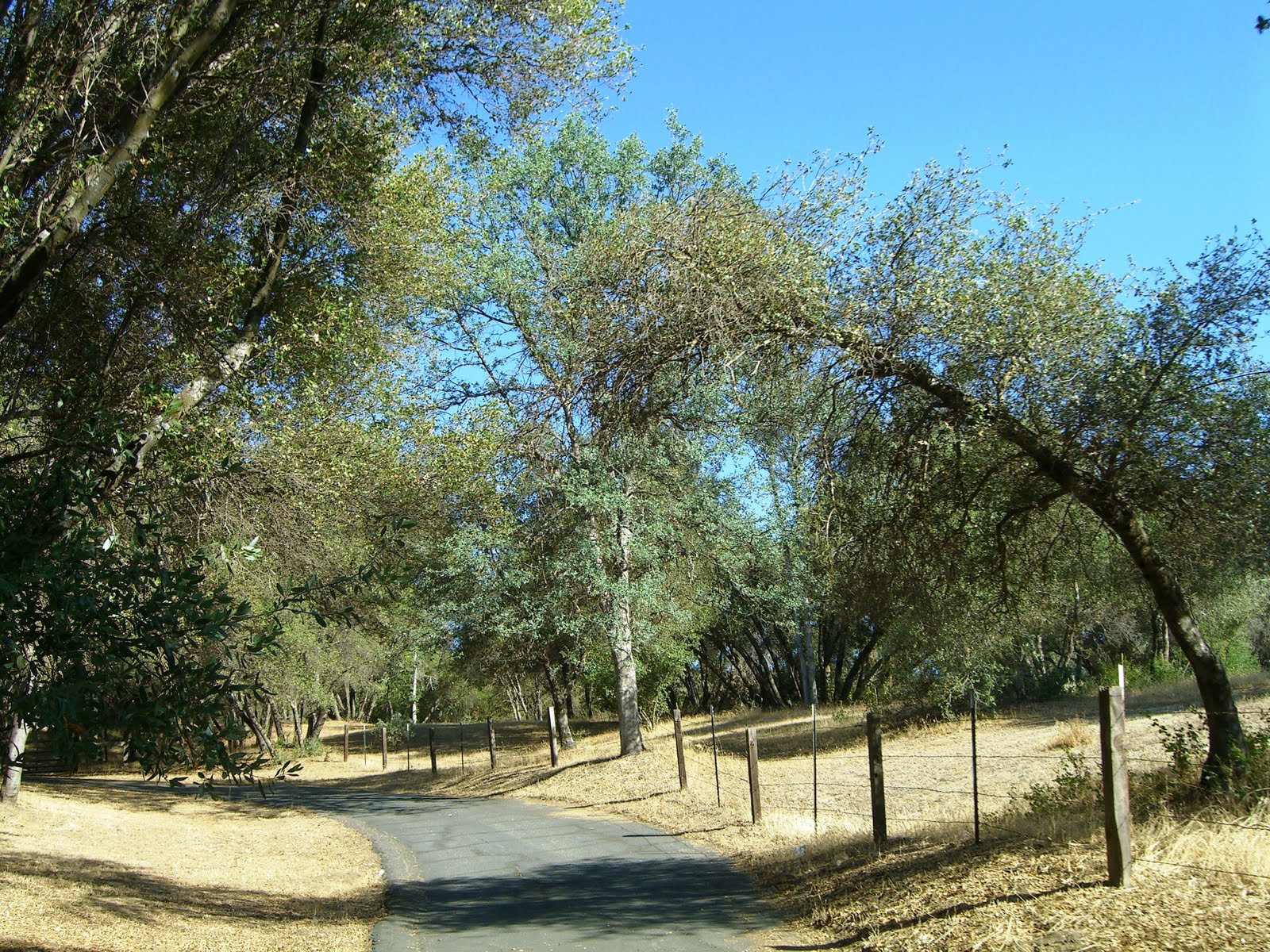 Fresno Civil Engineering & Design Firm