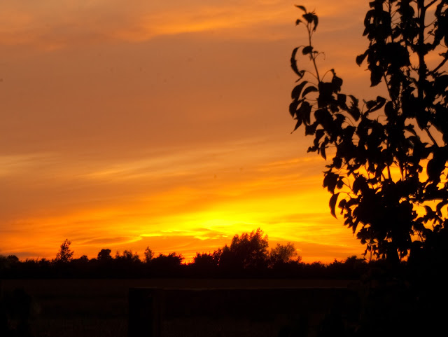 Photo Views, Life through the eye of a camera.: Sunset over ...