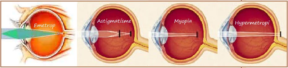 BIOLOGI GONZAGA: MELENGKAPI MATA