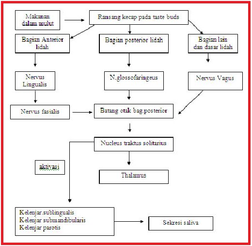LIDAH PENGECAP - Biology Page