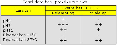 BIOLOGI GONZAGA: ENZIM KATALASE