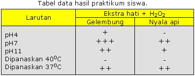 BIOLOGI GONZAGA: ENZIM KATALASE