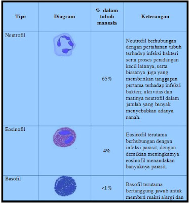 KEKEBALAN TUBUH - IMMUNITAS | Berita Biologi