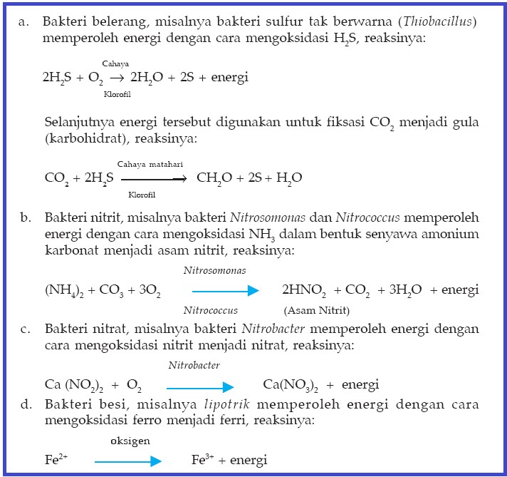 KEMOSINTESIS - Biology Page