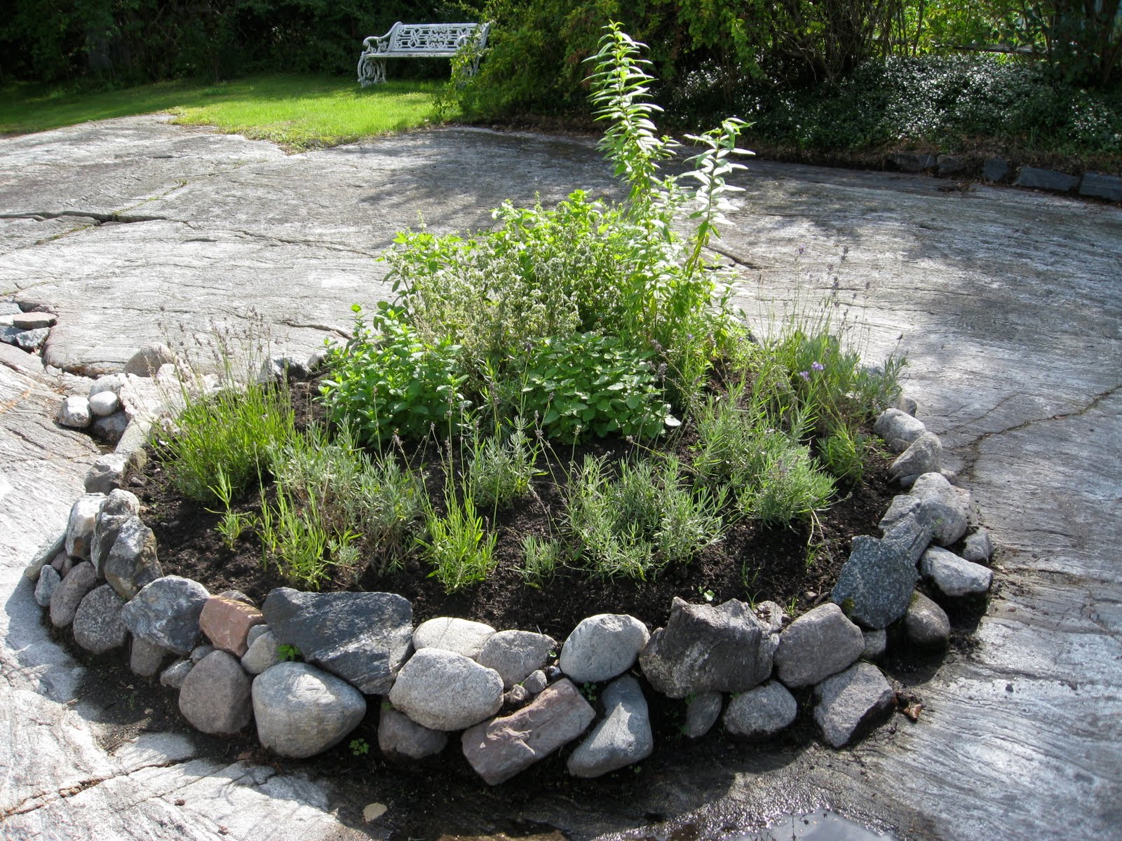 Inred Hemma: Höstlig växtkraft i vår trädgård!