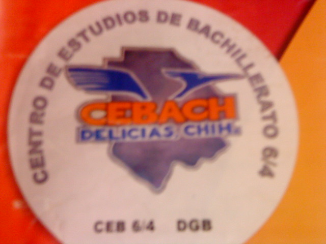 CEBACH 6/4 GRUPO 101