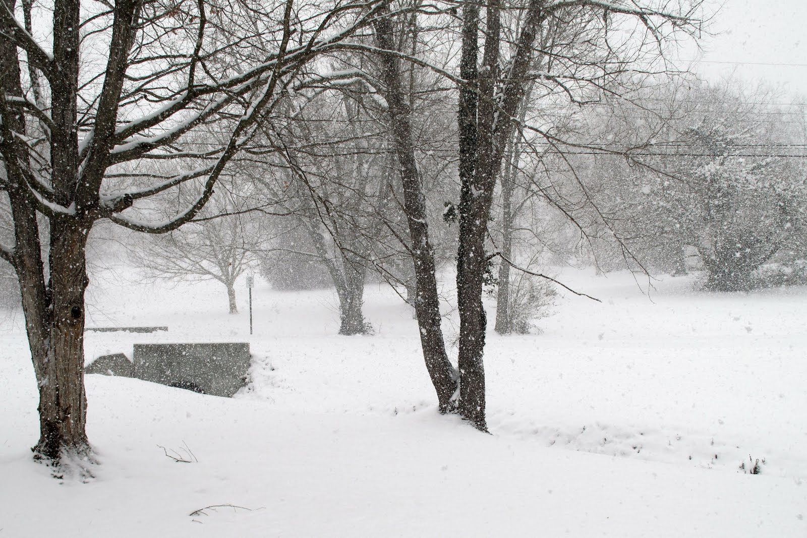 152 Insights to My Soul: It's snowing! Again!