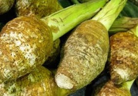 Cara Budidaya Talas | Tips Petani