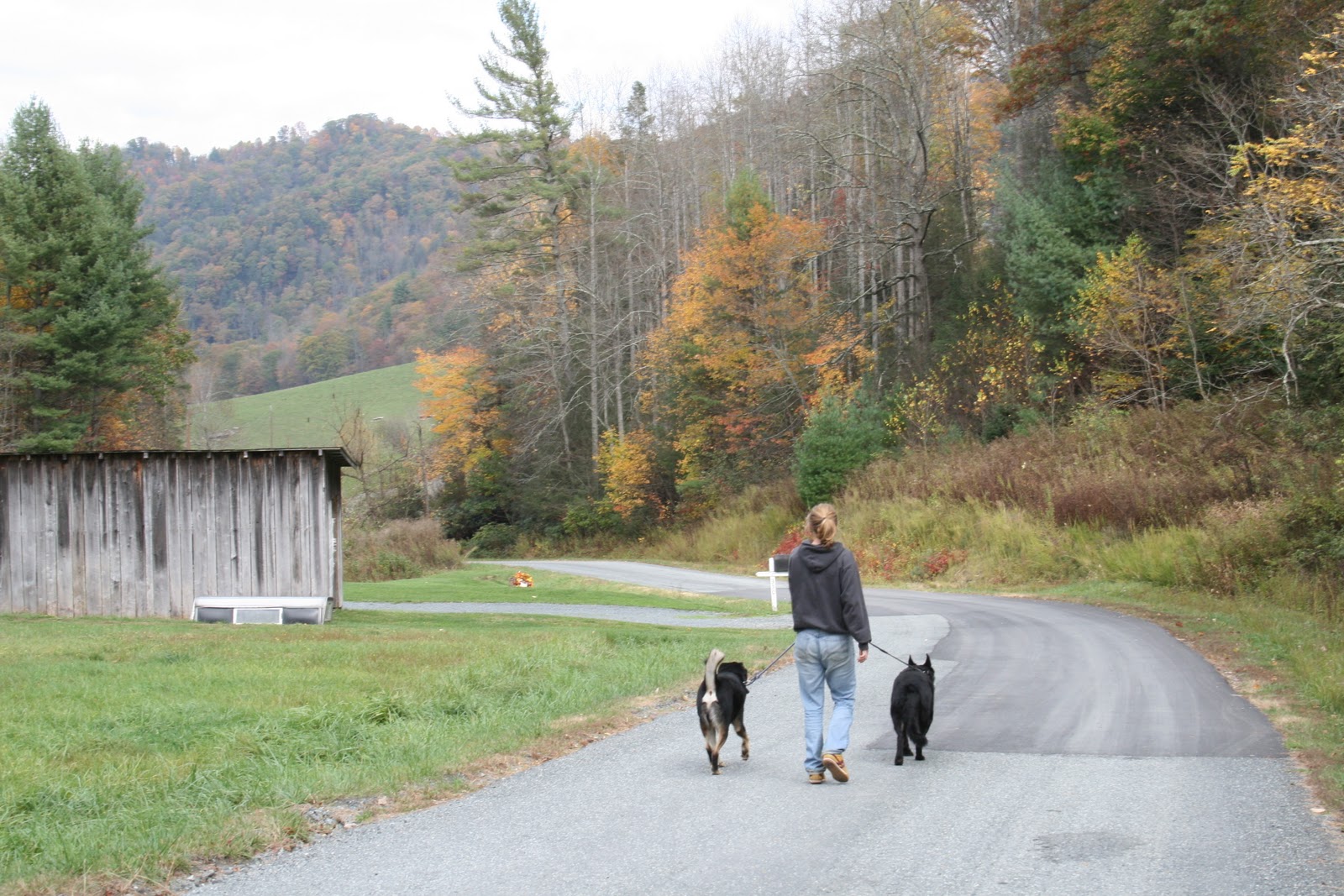 Slices of Life: Walking country roads as the foliage changes
