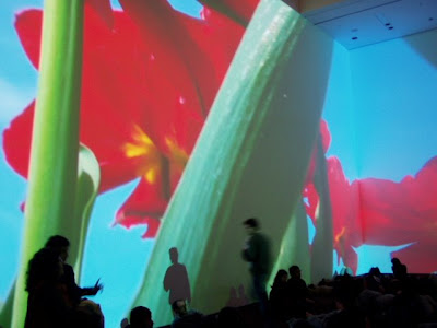 Taking Lead Now: A "Target Free Friday Night" Visit to the MOMA (Museum ...