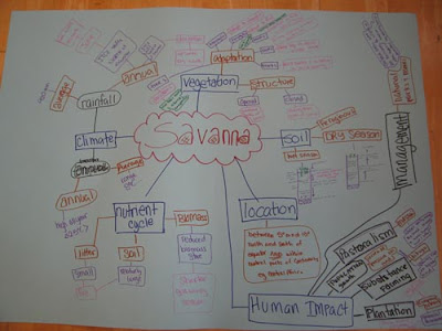 A Level Geography ideas: Mind maps