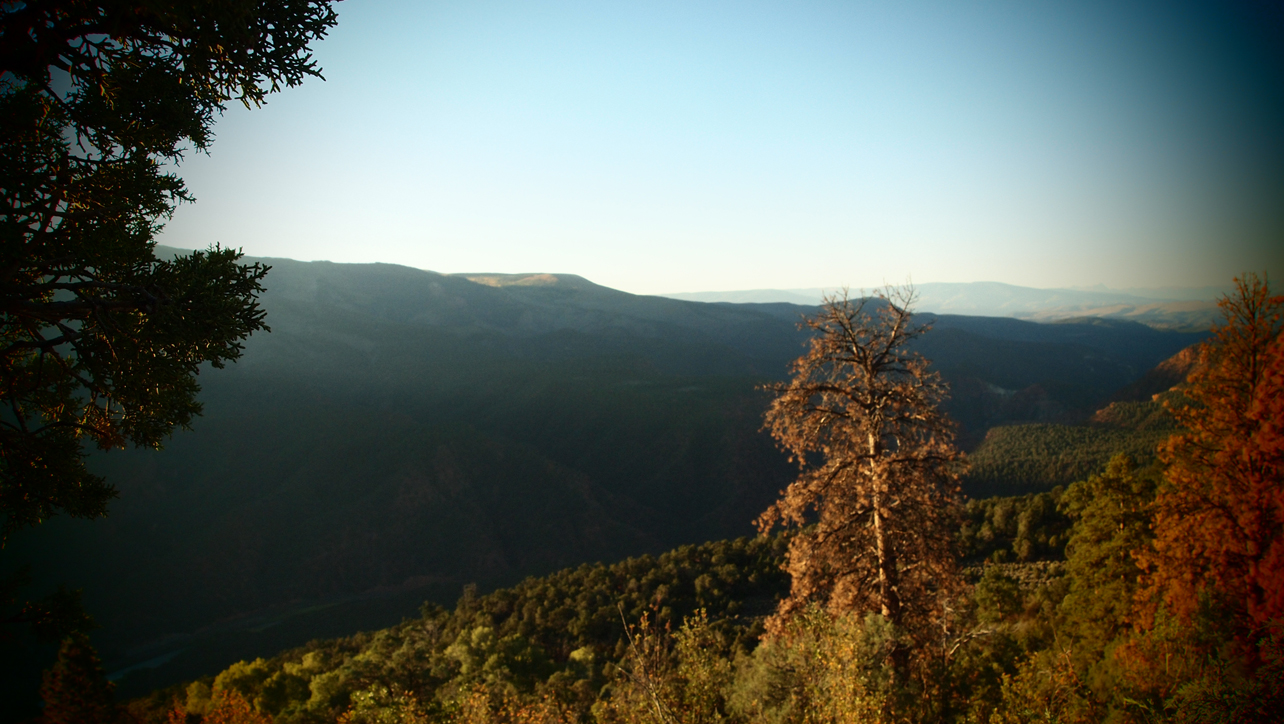 The Adventures of Dogstarman: Eight Bar Ranch IV