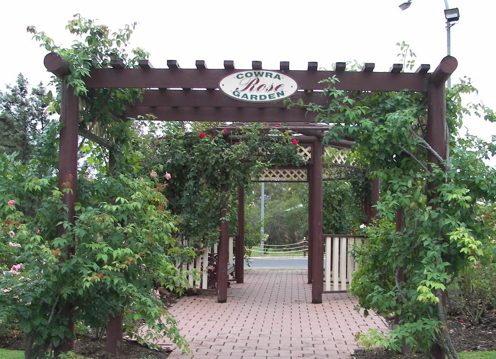 Tok Tok place: Cowra Memorial Rose Garden