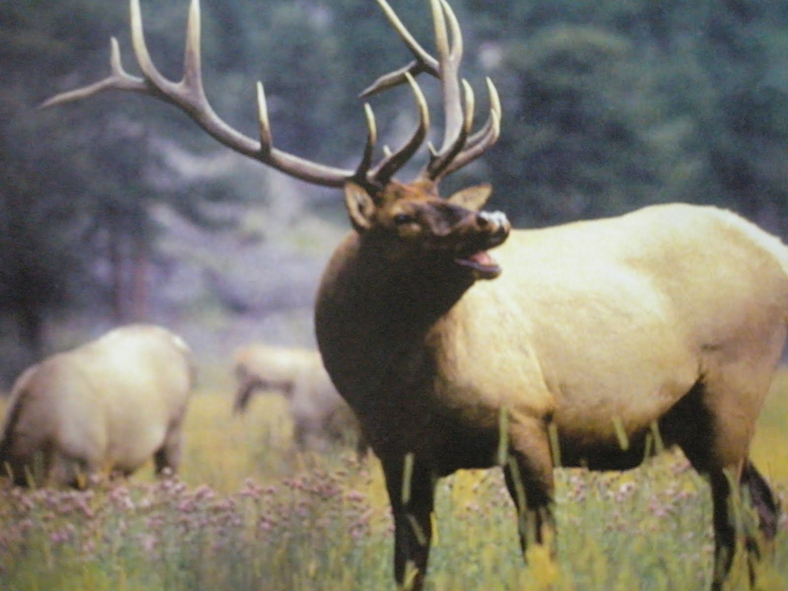 Pete Torola's Homeless Page: the last of the photos of our trip to ...