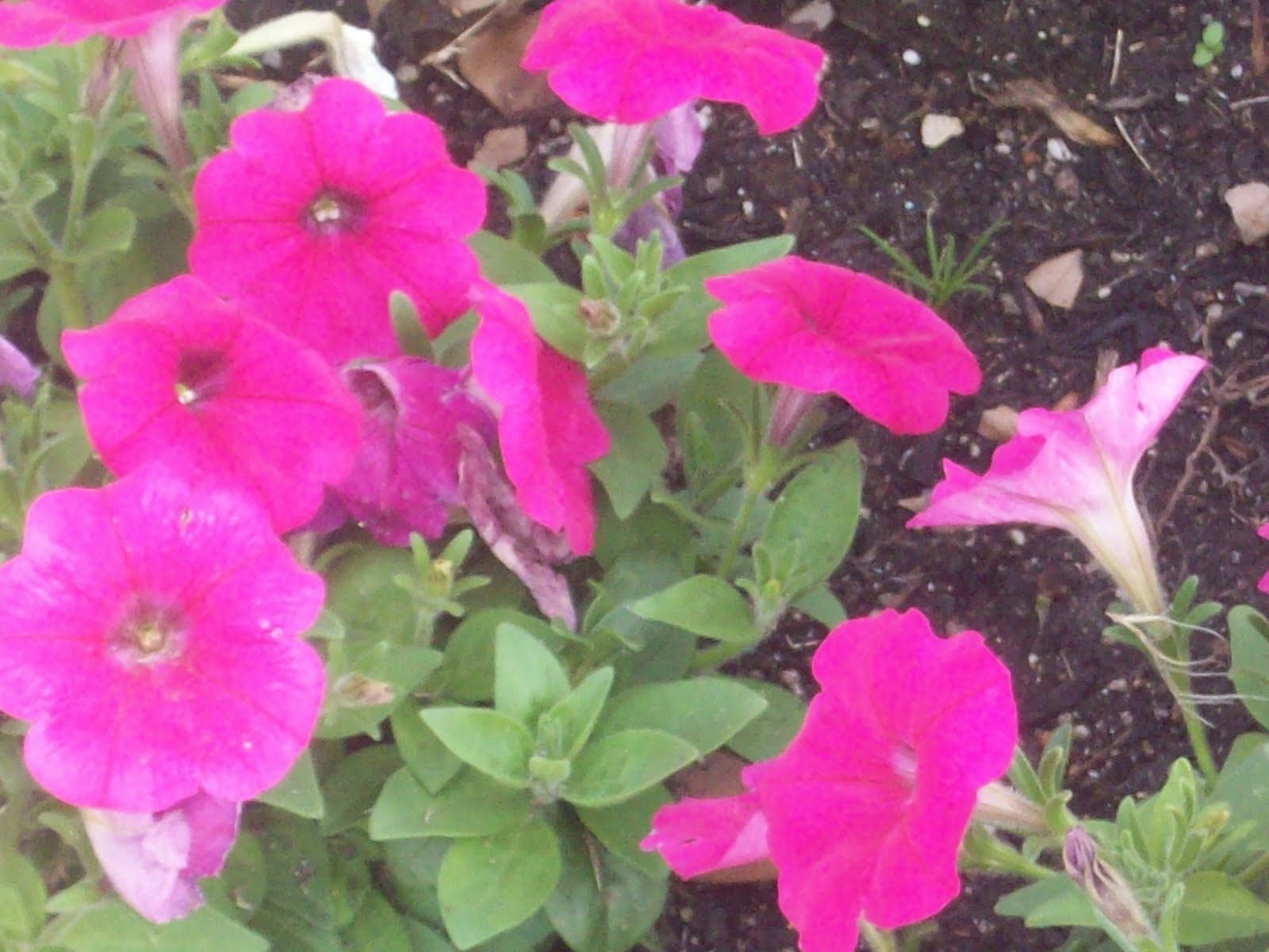 BootsieBay-Blabber: April 2010