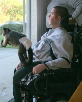 CRTASA: Help Support Monkey Helpers for People with Some Form of ...