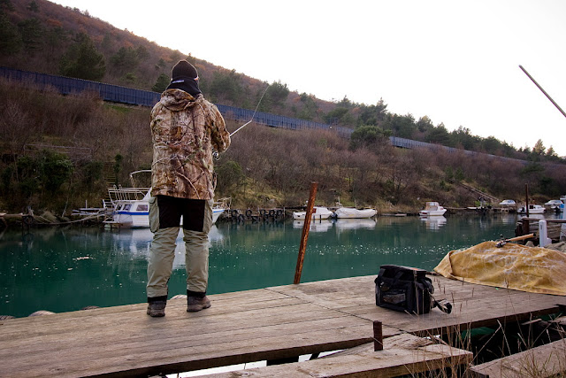 Fishing In Croatia (and in the neighbourhood): Bluefish from the Adriatic