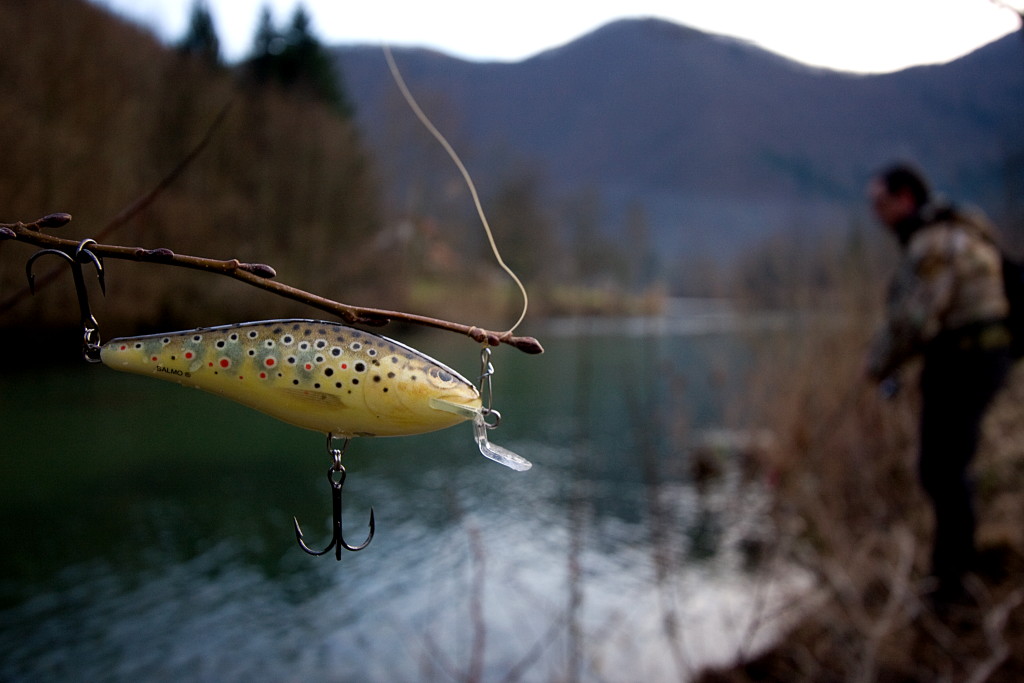Fishing In Croatia (and in the neighbourhood): Perfect day in Kupa valley