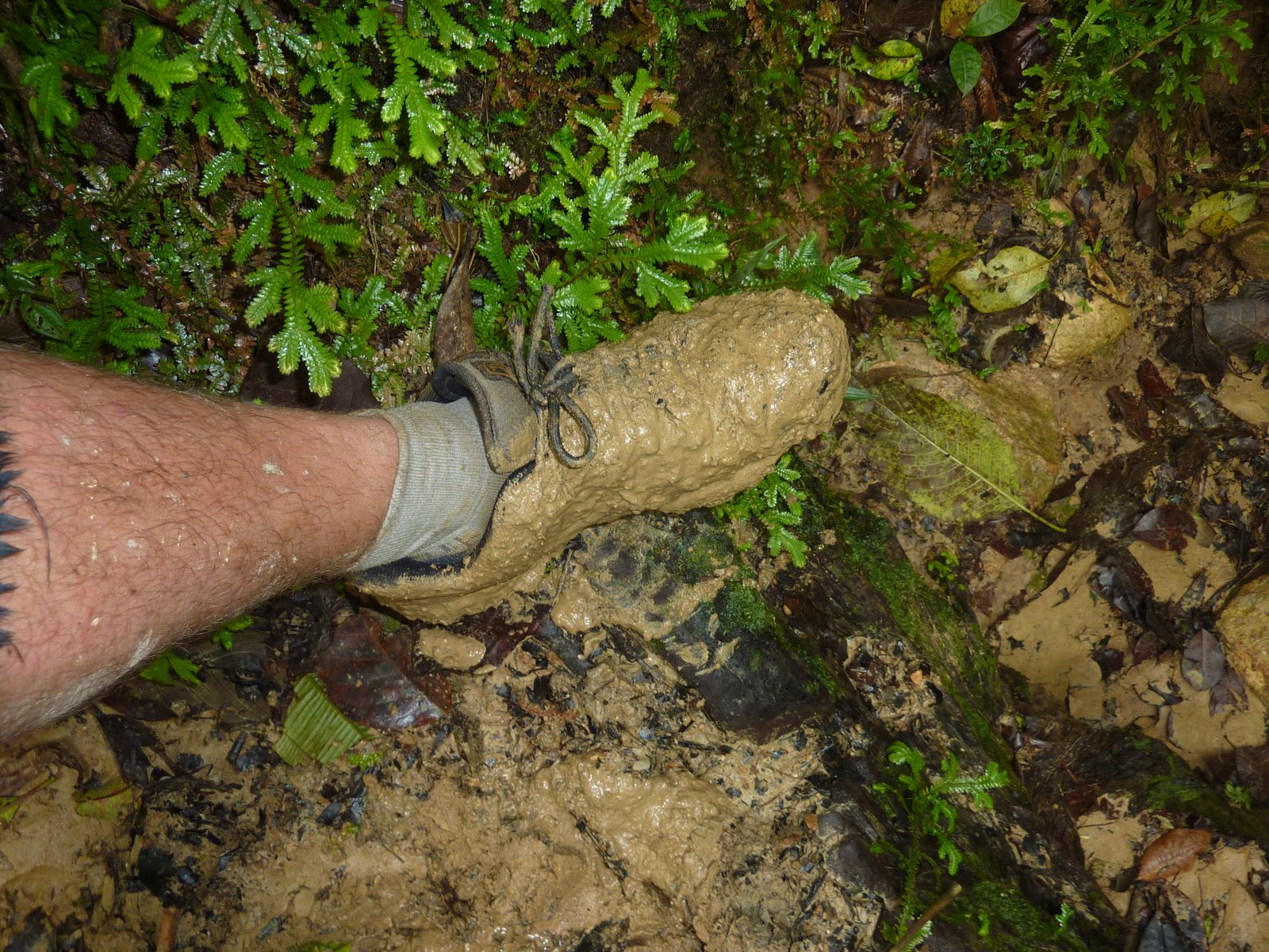 Travelling to robbery: Lost City destroyed feet