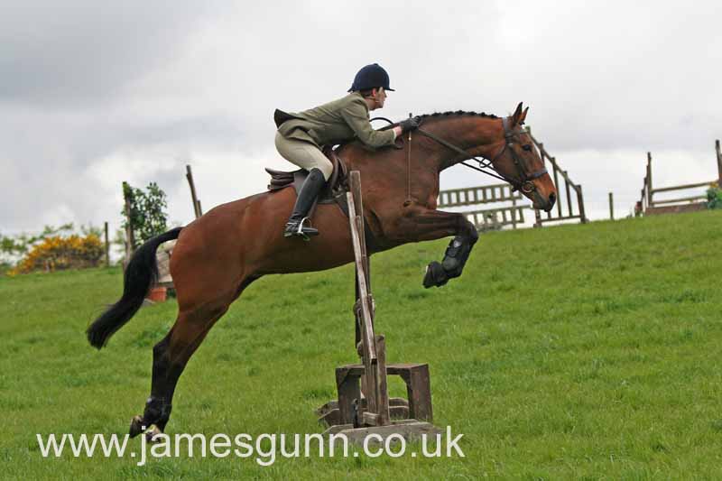James Gunn Photography: Riding Club Show Working Hunter jumps