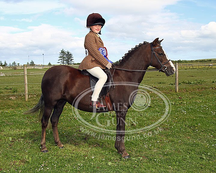 James Gunn Photography: Caithness Pony Club Show