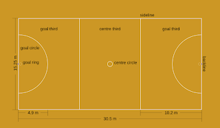 obsess with netball: Court and its dimensions