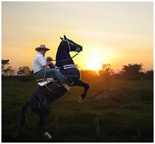 departamento del meta: departamento del Meta ................ Riquezas ...