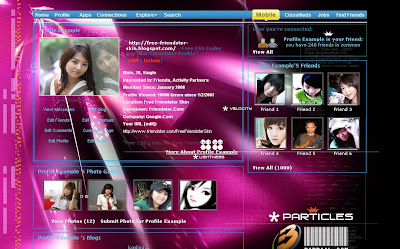 Free Friendster Skin