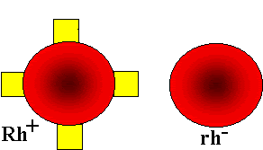 LE SANG, un mythe, une histoire, une matière première